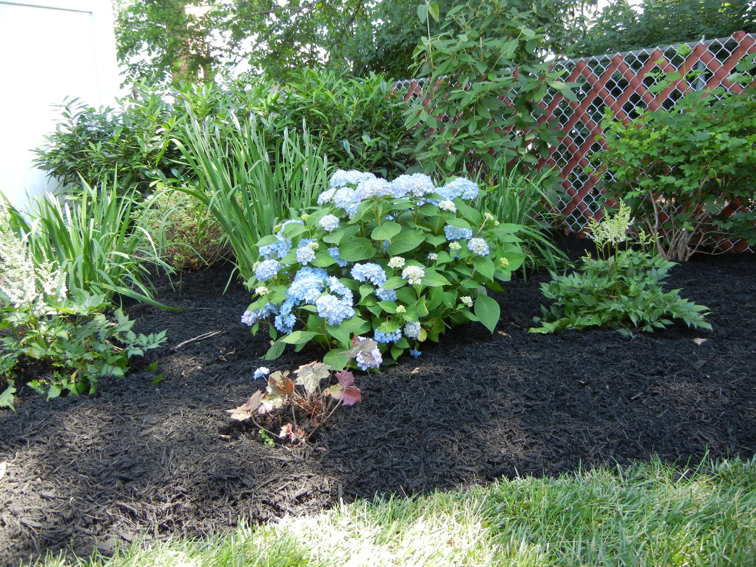 Custom Designs – Dynamic Landscaping, LLC