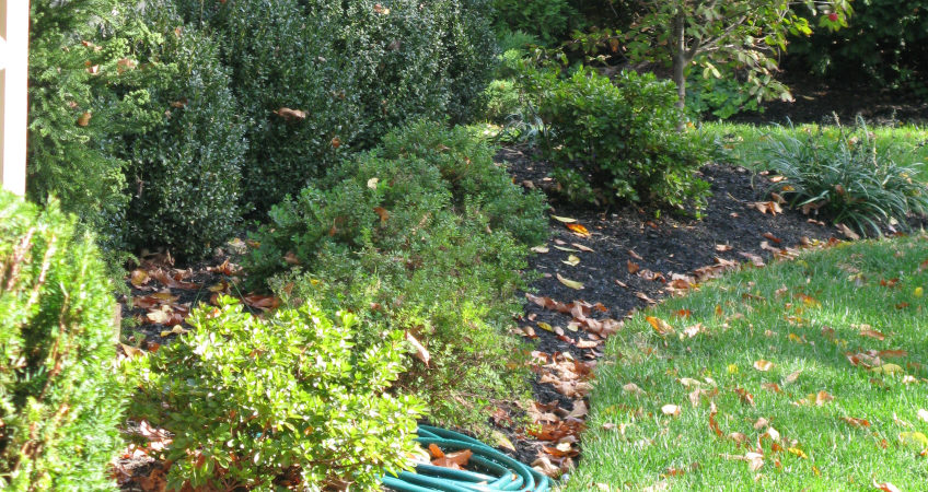 Landscape Design – Dynamic Landscaping, LLC