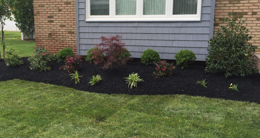 Landscape Design – Dynamic Landscaping, LLC