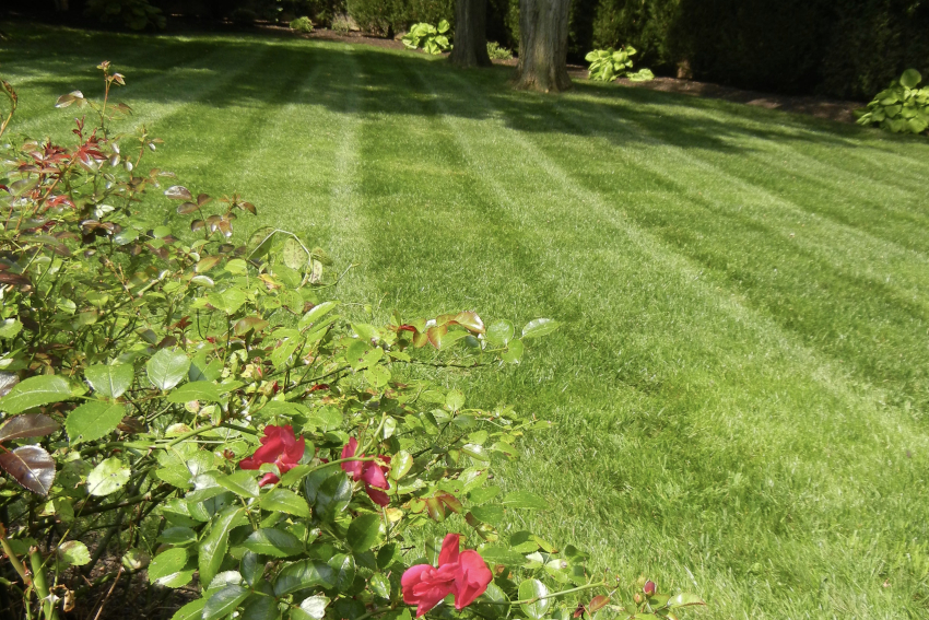 Dynamic Landscaping, LLC – Our work is UnbeLEAFable!